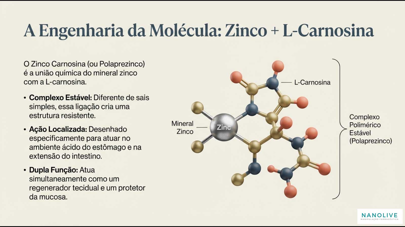 Zinco Carnosina: Para Que Serve, Como Tomar e Por Que Usar? - Nanolive ...